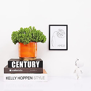 Gepege Ceramic Indoor Pots for Plants, Rainbow Pearl Glaze Planter with Drainage Hole, 6.0 inch+5.0 Inch+4.0 Inch. Orchid Flower Pots