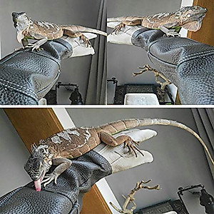 YBB Waterproof Animal Handling Gloves, Anti-Scratch/Bite Protective Long Gloves for Pet Cat Bathing Dog Bird(S)