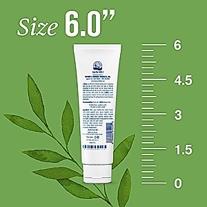 Nature's Sunshine XyliBrite Xylitol Toothpaste, Cool Mint, 3.5 oz. | Fluoride Free Toothpaste with Xylitol and Baking Soda to Whiten Teeth and Promote Oral Health