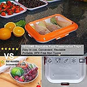 Stacking Food Storage Trays, 2 Pack Stackable Food Preservation Trays/Containers with Lid, Save Space Keep Food Fresh, Food Grade Plastic Wrap, BPA Free Serving Trays for Refrigerator Kitchen Picnic