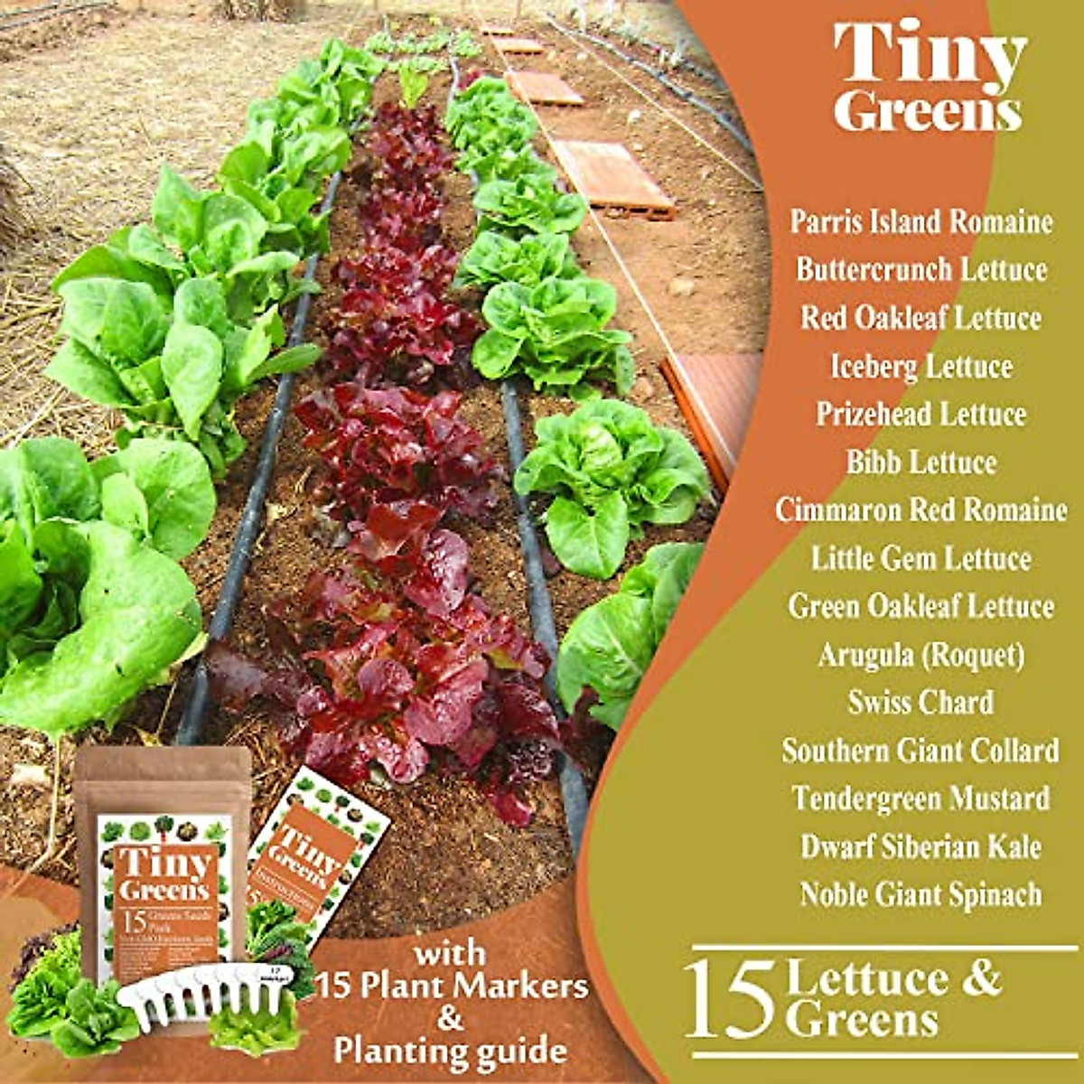 15 Heirloom Lettuce & Leafy Vegetable Seeds | 4000+ Seeds | Non GMO Seeds for Planting | Hydroponic Garden Seeds - Indoors or Outdoor
