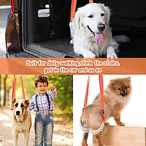 Mixweer 2 Pcs Dog Support Harness for Back Legs Dog Rear Lifting Sling Aid with Handle and Shoulder Strap Hind Leg Support for Pet Mobility Helps Dogs with Poor Stability Joint Injuries (Orange)