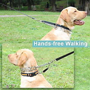 Mayerzon Backup Collar, Double Ended Clip and Carabiner for Prong Collar, Pinch Collar and Dog Harness, Safety Use for Walking and Training (L, Black)