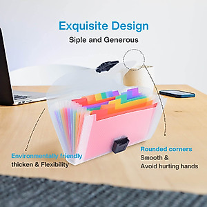 REEMTOO Accordian File Organizer, Coupon Organizer, Folder Organizer Mini Organizer Wallet for Coupons, Receipts, Cash, Tax Item or Changes,7x4.5 in 13 Pockets with Tabs Check Case(Caise)