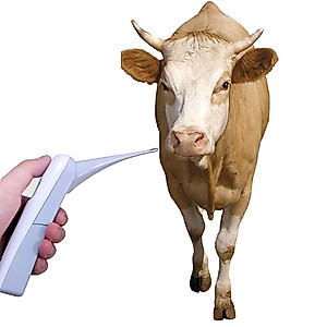 Animal Electronic Ehermometer Pet Thermometer Digital Thermometer is a Fast Rectal Thermometer for Dogs,Horse, Cats, Pigs,Sheep