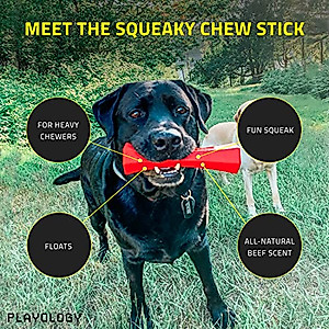 Playology Squeaky Chew Stick Dog Toy, for Large Dogs (35lbs and Up) - for Moderate Chewers - Engaging All-Natural Beef Scented Toy - Non-Toxic Materials