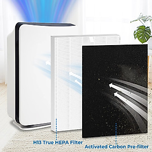 TOMORAL D360 Replacement Filter D3 Compatible with Winix D360 Air Purifier, Part Number 1712-0101-02, 2 True HEPA(H13) Filter & 8 Activated Carbon Filters