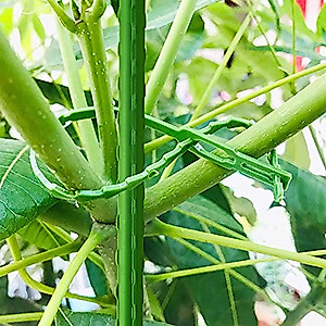 BEAUTYFLOWER Tomato Cages ,3 Packs Plants Support Stakes 4 Feet High Adjustable Assembled Vertical Climbing Plants, Garden Vegetable Trellis.