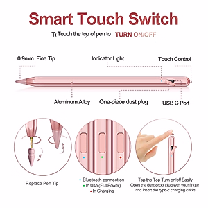Stylus Pen for iPad 2018-2024 with Palm Rejection, Apple Pencil for Apple iPad 10th/9th/8th/7th/6th Gen, iPad Pro 11/12.9 inch, New iPad Air 2024 11&13-inch(M2) /5th/4th/3th Gen, iPad Mini 6th/5th Gen