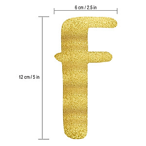 Feliz Pinche Cumpleaños Gold Glitter Banner, Spanish Happy Birthday Banner, Fiesta Mexican Themed Birthday Party Decorations