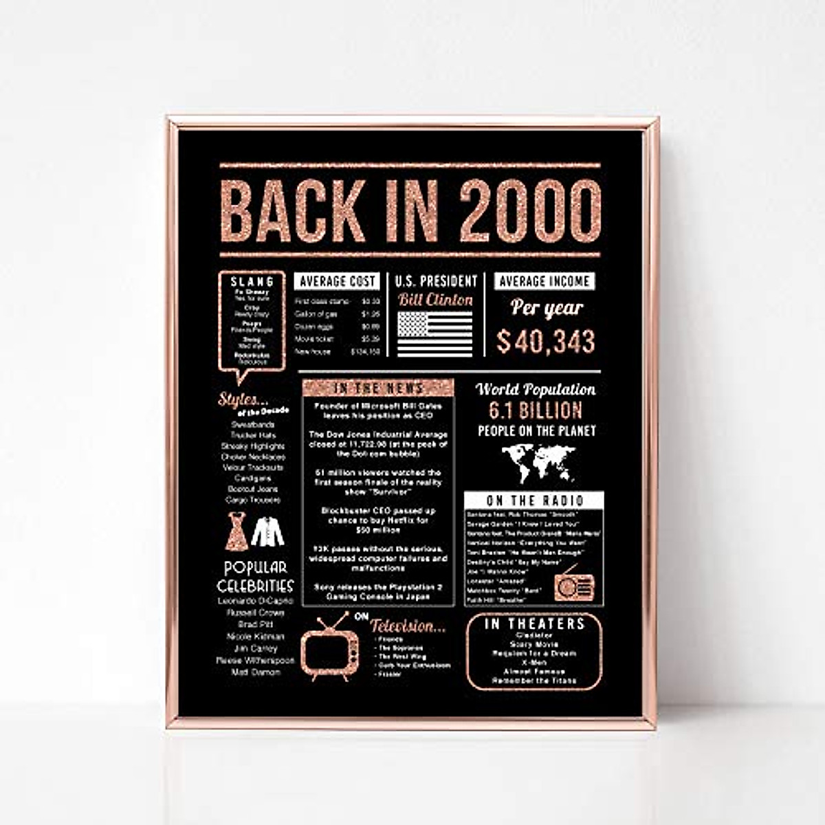 Katie Doodle Rose Gold 23rd Birthday Decorations Anniversary Party Supplies Card Gifts for 23 Year Old Woman Her - Includes 8x10 Back in 1999 Print [Unframed], Rose Gold