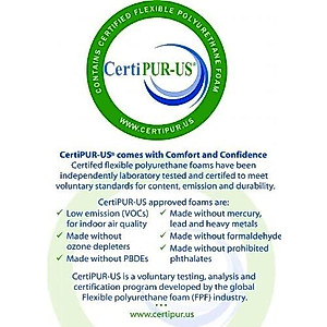 PlushBeds Resort Sofa Mattress Premium Memory Foam | Handcrafted in The USA | CertiPUR-US® Certified Plush Foam Layer | GreenGuard Gold Certified | Luxurious Comfort | Superior Support | Queen