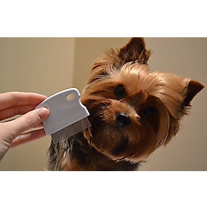Tear Stain Remover - Fine Tooth Metal Comb to Clean Dogs Eye Boogers - Steel Pet Cleaner and Grooming Accessories - Care for Small Dog Breeds like Shih Tzu, Poodle, Yorkie, Goldendoodle and More