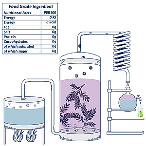 Food Flavoring Oil - 12 Liquid Lip Gloss Flavoring Oil, Concentrated Candy Flavoring, Flavor Oil for Baking, Cooking, Slime Making, Soap, Drinks, Water & Oil Soluble- 0.25 Fl Oz