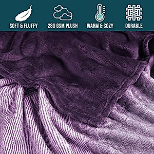 PAVILIA Flannel Fleece Ombre Throw Blanket for Couch | Soft Cozy Microfiber Couch Gradient Accent Blanket | Warm Lightweight Blanket for Sofa Chair Bed | All Season 50x60 Inches Purple Lavender