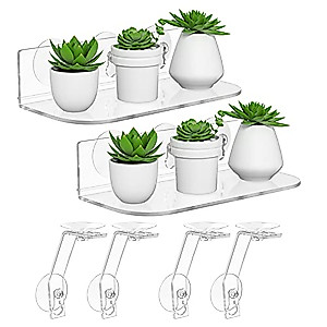 NPPLUS 2 Pack Acrylic Suction Cup Shelf, Tool Free Window Plant Shelves With Legs, 12 Inches Clear Acrylic Indoor Ledge Garden Stand with for Growing Herbs, Microgreens, Succulents,Etc.