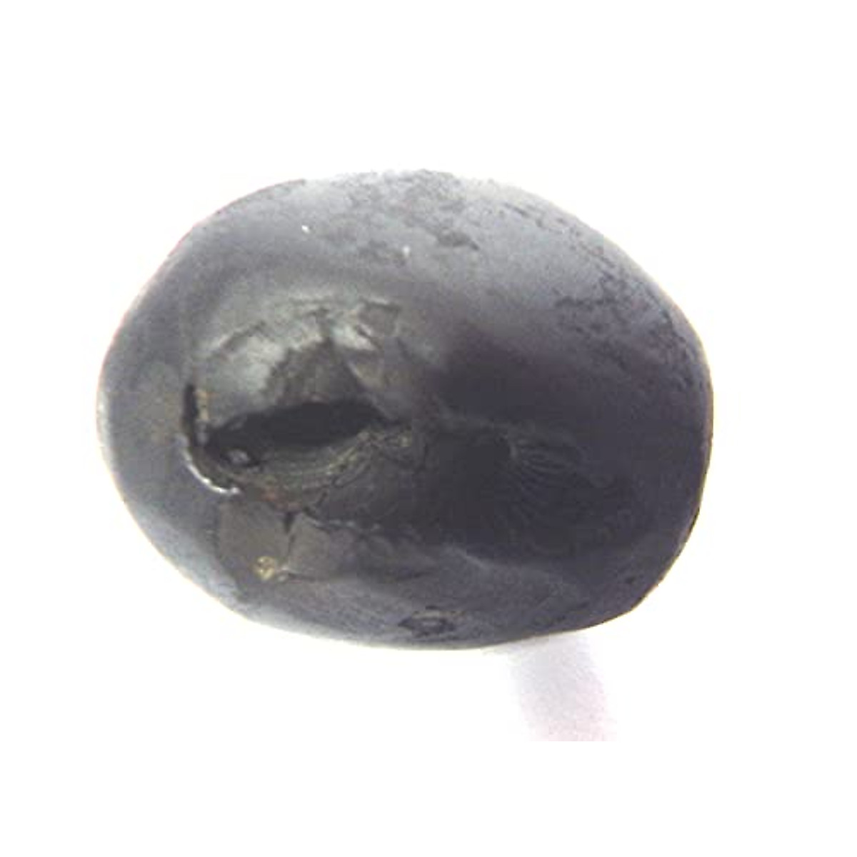 phoenix888 Kurma Laxmi Navnidhi Purnachakra Purnagarbha Shaligram