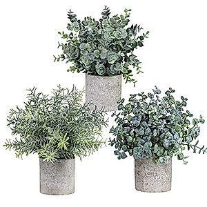 Winlyn Set of 3 Mini Potted Artificial Eucalyptus Plants Plastic Fake Green Rosemary Plant for Home Decor Office Desk Shower Room Decoration