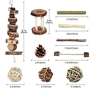 10Pcs Guinea Pig Toy Bunny Toy, Chinchilla Snacks Toys, Hamster Chew Toy, Organic Natural Apple Wood Dumbells for Gerbil, Hamster, Rabbit, Small Animal Molar Accessories Supplies for Teeth Grinding