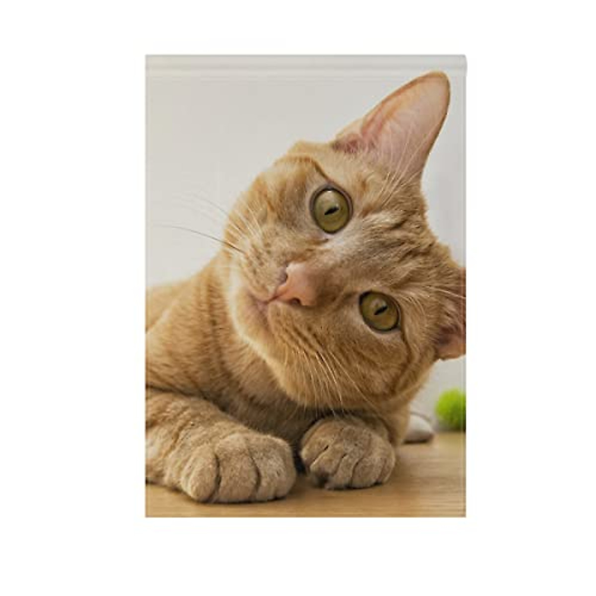 Hokkien Orange Cat Tilts His Head Garden Flag Banner 12 x 18 Inch Decorative Garden Flag for Outdoor Lawn and Garden Home Décor Double-Sided