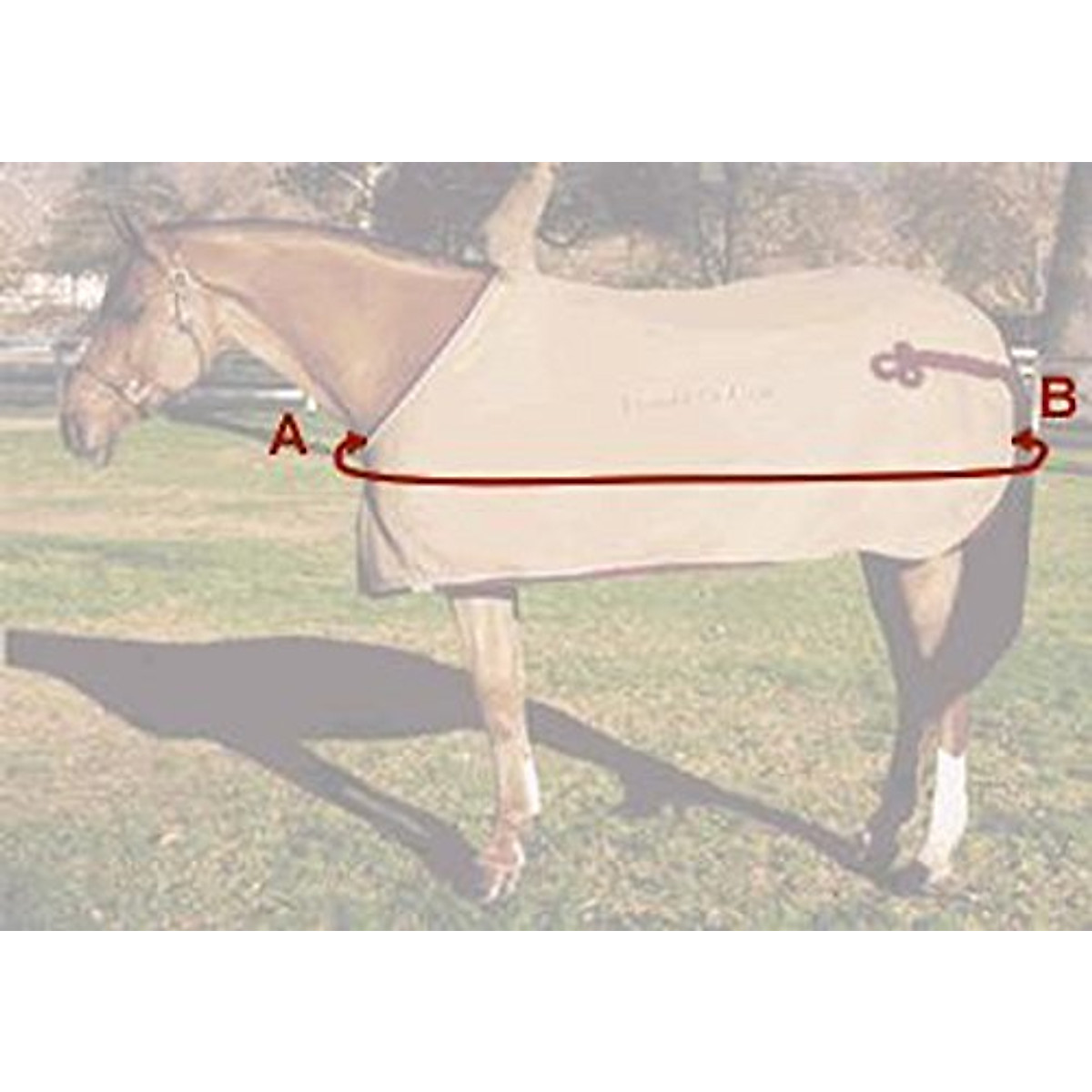 Turnout 1680D Horse Winter Waterproof with Neck Cover - Horse Blanket 002 - Size from 69" to 83" (78")