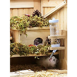 Rubor Hamster Cage Wooden Hamster Cages and Habitats for Dwarf Hamster, Guinea Pig, Chinchilla, 2-Tiers with Shelf and Ladder, Openable Top, Pull-Out Tray, Natural Wood