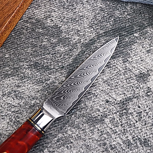 JUMCSONG 3.5 Inch Fruit Knife, 67 Layer Damascus Steel Blade Peeling Knife, Super Sharp Kitchen Knife