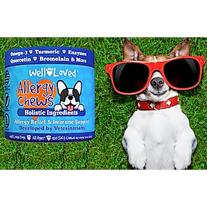 Well Loved Dog Allergy Chews - Dog Allergy Relief, Made in USA, Vet Developed, Hot Spot Treatment for Dogs, Dog Itch Relief, Anti Itch for Dogs, Dog Vitamins, Dog Skin Allergies Treatment, 120 Count