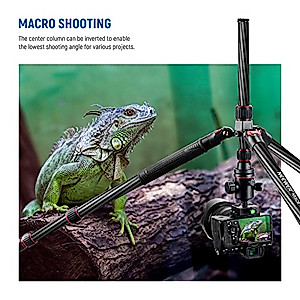 NEEWER Upgraded 80.7" Carbon Fiber Camera Tripod Monopod with Telescopic 2 Section Center Axes, 360° Panorama Ballhead, 1/4" Arca Type QR Plate, Travel Tripod with ø28mm Column, Max Load 26.5lb, N55CR