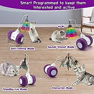 BEBOBLY Automatic Cat Toys Interactive for Indoor Cats, Electric Mouse Feather Toy for Kitten Pet Exercise Chasing Hunting, Self-Entertaining Smart Toys for Play Alone, USB Charging