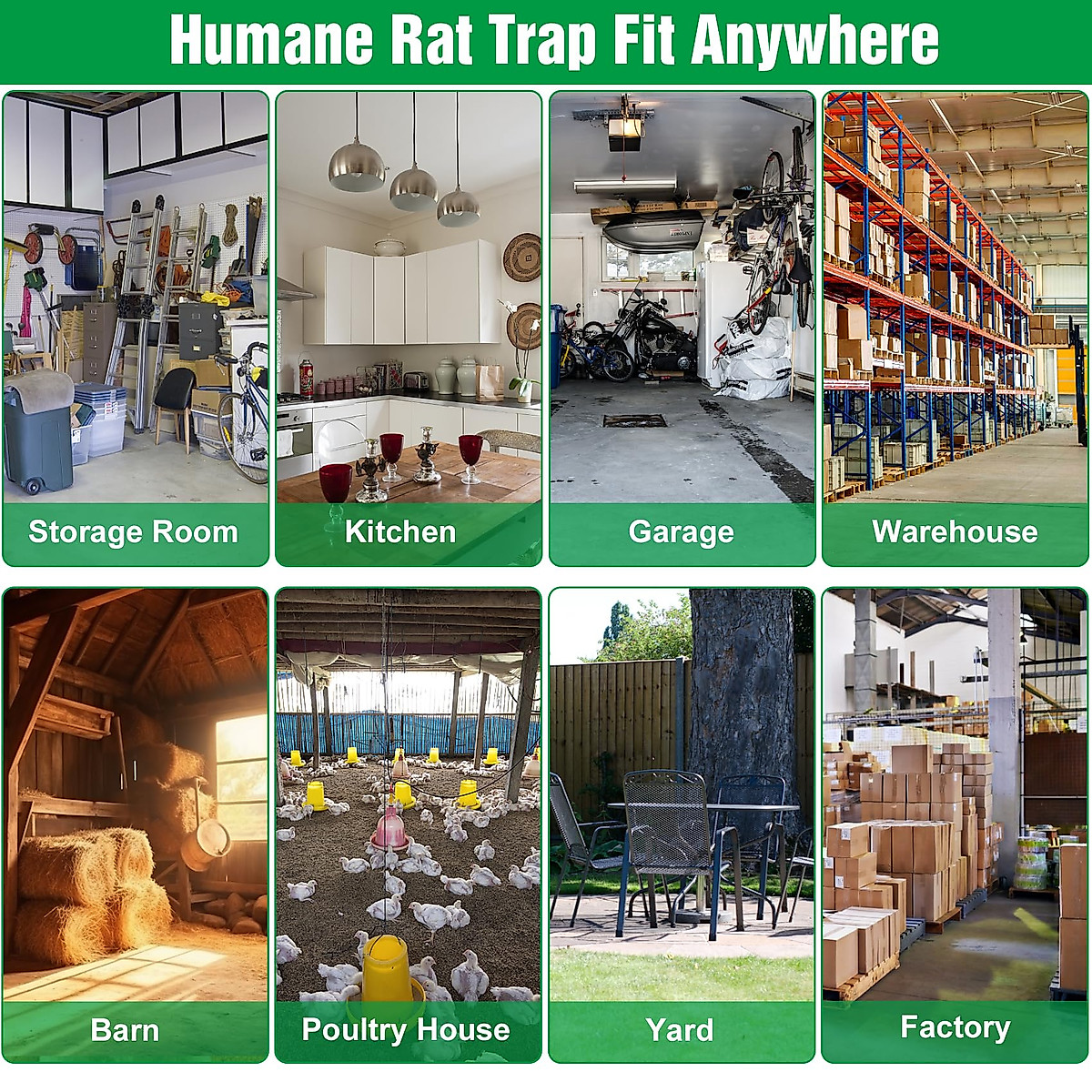 2 Packs Humane Rat Trap Outdoor, Wanqueen Humane Mouse Traps Indoor, Small Rodent Chipmunk Squirrel Trap and Other Live Animal Cage Catch and Release