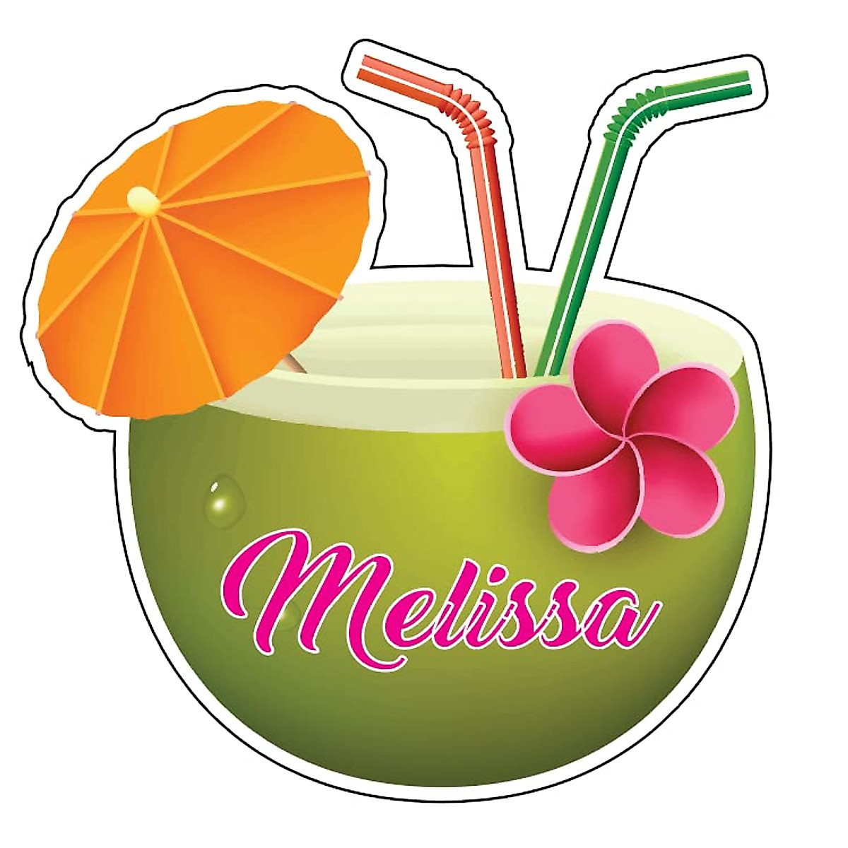 Magnet Customized for your Stateroom Door on your Disney Cruise, Carnival, Royal Caribbean, etc. - Personalized Coconut Drink with Pink Flower