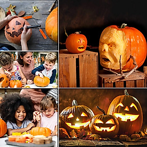 Halloween Haunters Ultimate 14 Piece Professional Pumpkin Carving Tool Kit - Easily Carve Sculpt Halloween Jack-O-Lanterns - 18 Cuts, Scoops, Scrapers, Saws, Loops