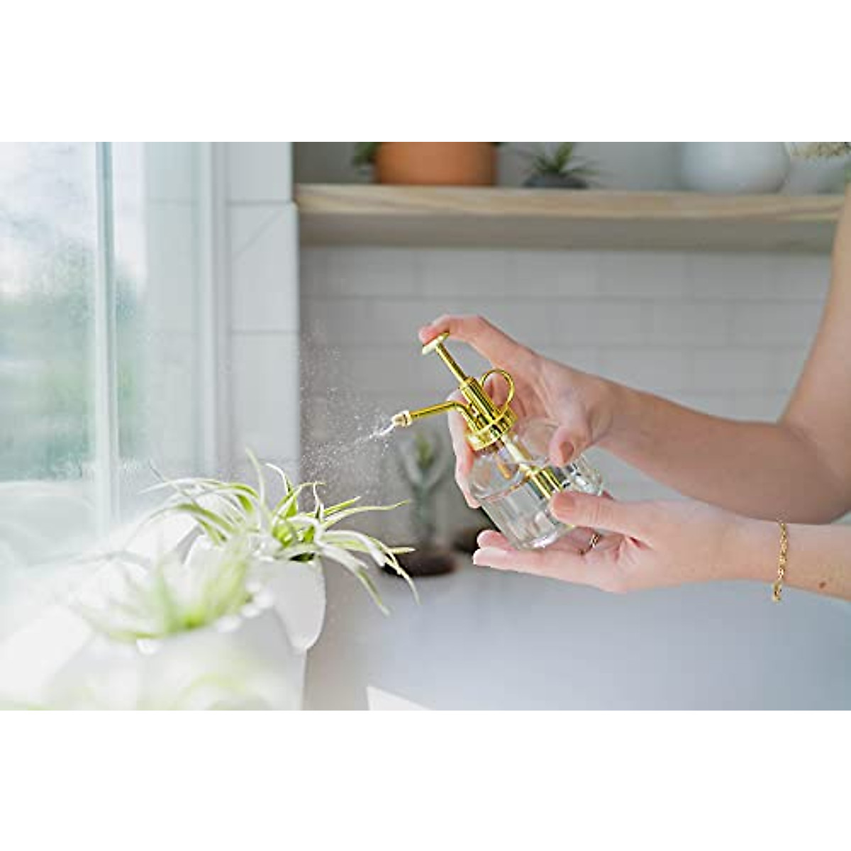 5 Pack Air Plants Red Abdita Tillandsia - Medium Air Plants Live Variety Pack - Live Succulent House Plants - Home Holders and Garden Decor - Easy Care Indoor and Outdoor Air Plant