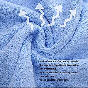 WCDJOMOP 5 Pcs Sugar Glider Blanket, Hamster Fleece Cage Liners, Soft Warm Pet Bedding Mats Sleep Pad Cover Bath Towels for Hamster Guinea Pig Rabbit Squirrel Chinchilla Hedgehog (30x30cm, 5 Pack)