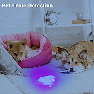 Waklyte Black Light UV Light, 21 LED 395nm UV Flashlight, Powerful Mini Blacklight Flashlight, Small Portable Black Light Flashlight for Pet Urine Detection, Scorpion, Resin Curing, Bed Bug, Nails