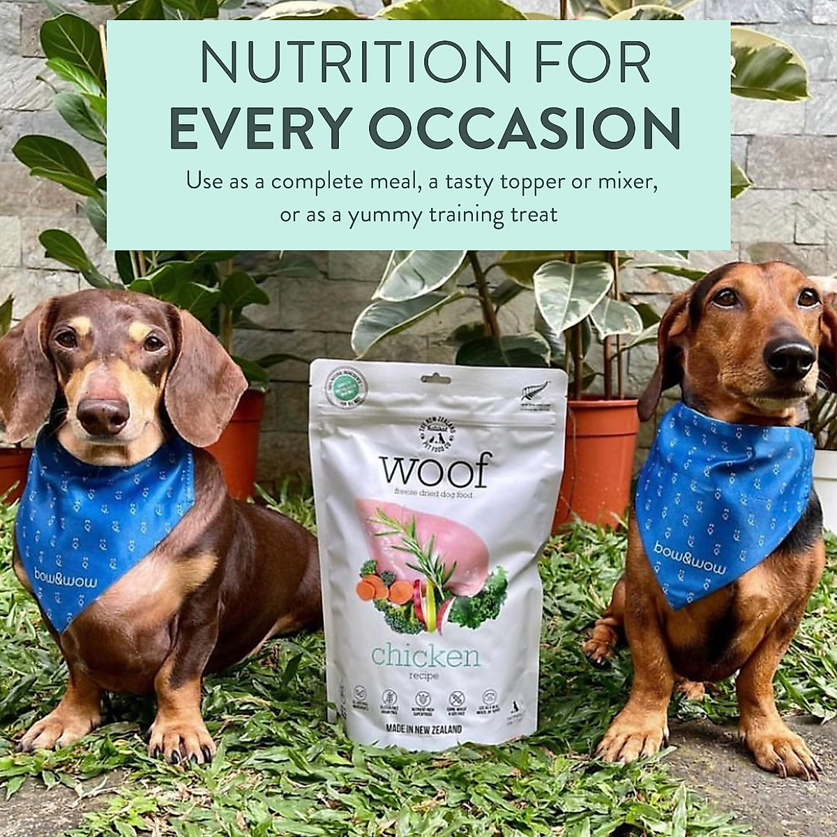 The New Zealand Natural Pet Food Co. WOOF Freeze Dried Dog Food - Chicken Recipe, High Protein Dog Treats & Snacks, Dog Food Toppers & Meals, 9.9 oz