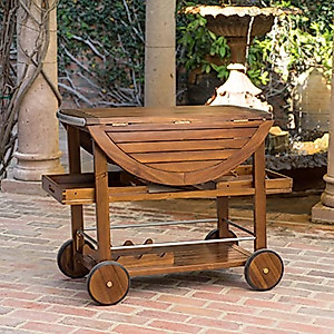 Christopher Knight Home Tillary Tiller Outdoor Acacia Wood Bar Cart Aluminum Accents, Dark Oak/Shiny Powder Coating