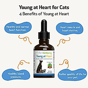 Pet Wellbeing Young at Heart for Cats - Vet-Formulated - Supports Cardiovascular (Heart & Circulatory) Health - Natural Herbal Supplement 2 oz (59 ml)