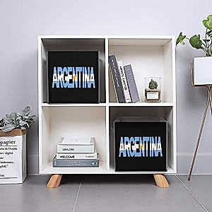 Argentina Flag Foldable Storage Bins Printd Fabric Cube Baskets Boxes with Handles for Clothes Toys, 11x11x11