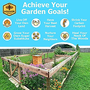 Hoover Hives 8 Frame Langstroth Beehive Dipped in 100% Beeswax Includes Wooden Frames & Waxed Foundations (1 Deep Box, 1 Medium Box)