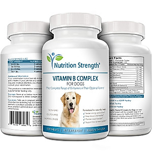 Nutrition Strength Vitamin B for Dogs, Complete B Complex for Dogs, Promote Blood Cell & Nervous System Health, Help Sustain Cellular Energy Production & Maintain Brain Function, 120 Chewable Tablets
