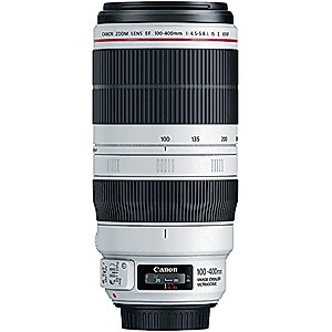 Canon EF 100-400mm f/4.5-5.6L is II USM Lens - 9524B002 (Renewed)
