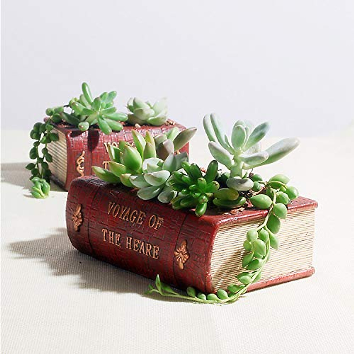 Aygrün Succulent Pots, Cute Resin Animal Flower Planters Decorations, 4 Inches, Creative Pot for Sempervivum with Drainage, Gift for Women, Man, Office and Garden Decor Book, 5.5″x4.0″x2.2″