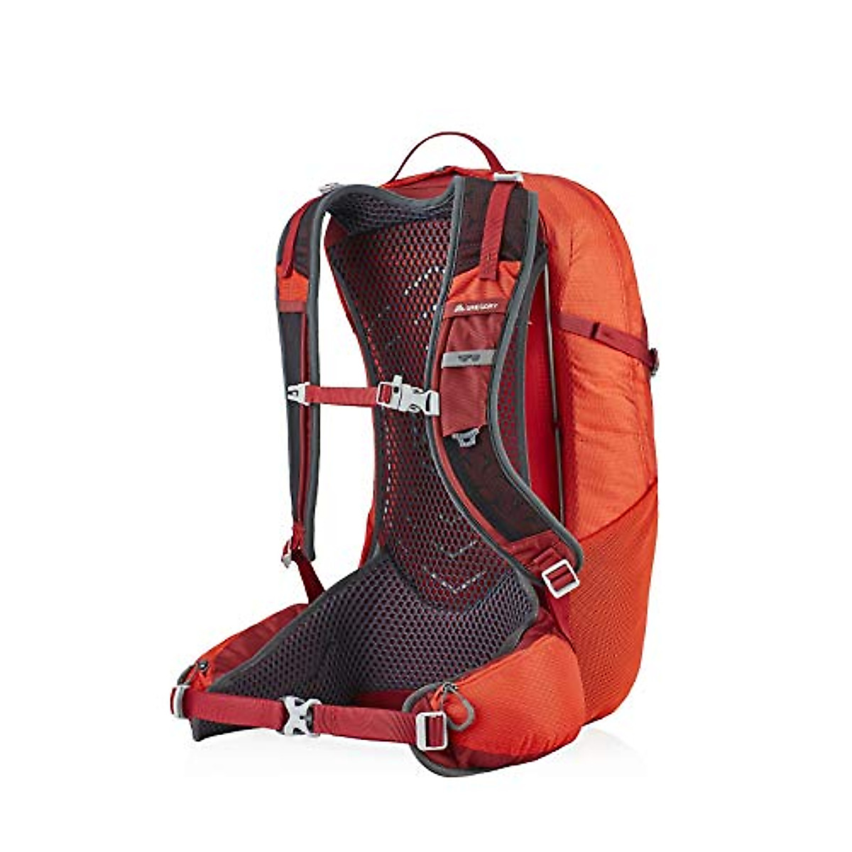 Gregory Mountain Products Men's Citro 24 H2O Hydration Backpack,Spark Orange
