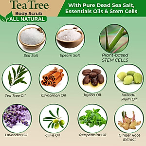Chamuel Tea Tree Body & Foot Scrub - 100% Natural Exfoliating Body Scrub with Dead Sea Salt, Plant-based Stem Cells, Ginger & Essential Oils– Rejuvenates & Soothes Dead & Dry Skin (15.1oz)