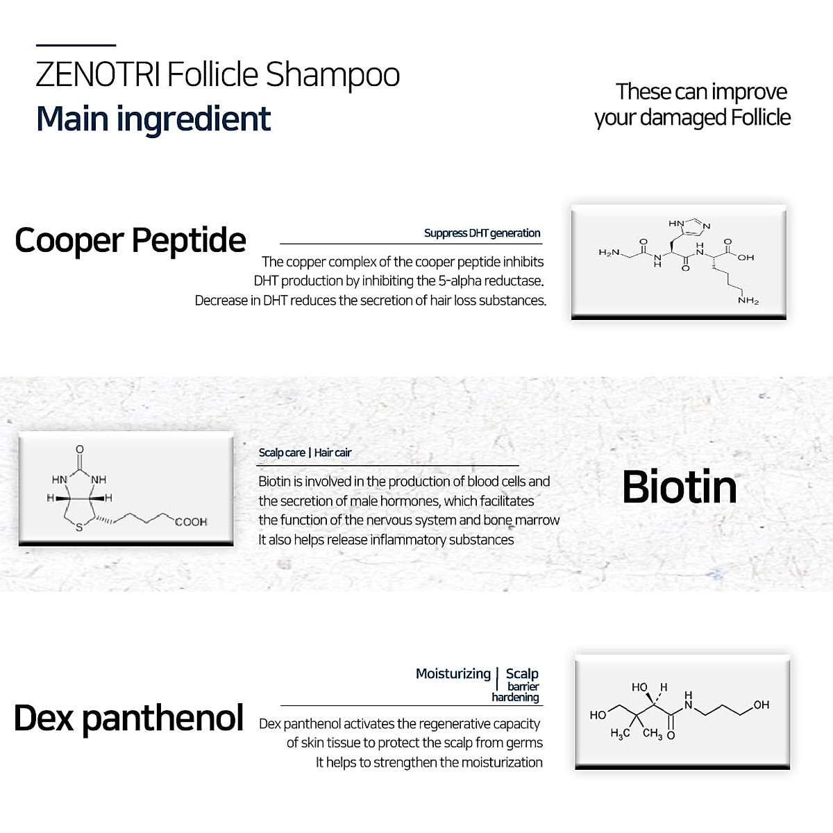 ZENOTRI Follicle Shampoo Hair loss Zero with Copper peptide, Biotin, Dexpanthenol, Pyrithione Zinc/Genetic Hair Care Solution