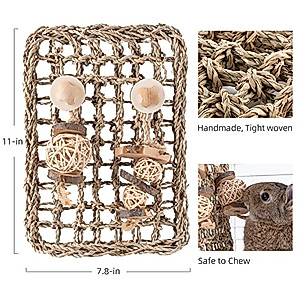 andwe Seagrass Protector Mat with Toys for Rabbit Bunny Chinchilla Guinea Pigs or Other Rodent Pets (11 X 7.87-inch)