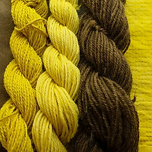 Shepherd Textiles French Weld Extract Natural Dye, 1 oz.