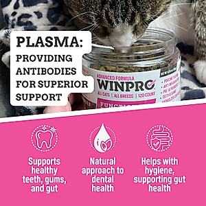 WINPRO - Tasty Dental Bites for Cats, Plasma-Powered Formula for Teeth Cleaning, Gum Support & Dental Care, Probiotic Blend Catnip Treats for Gut Health, All Cat Breeds, 120 Count, Made in USA
